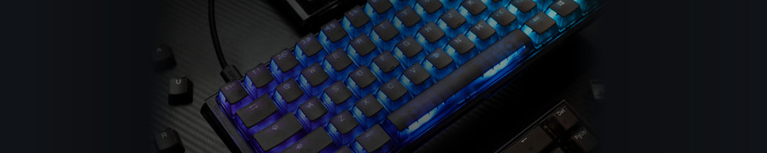 One 3 – Ducky