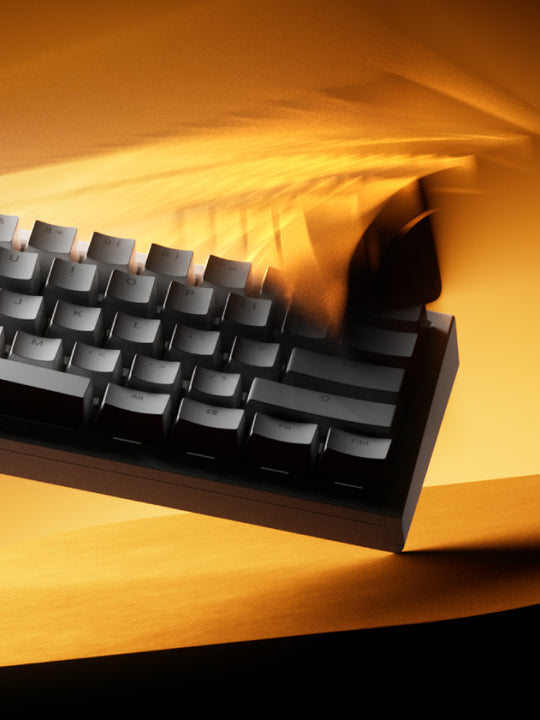 Collections – Ducky