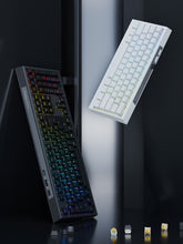 Collections – Ducky